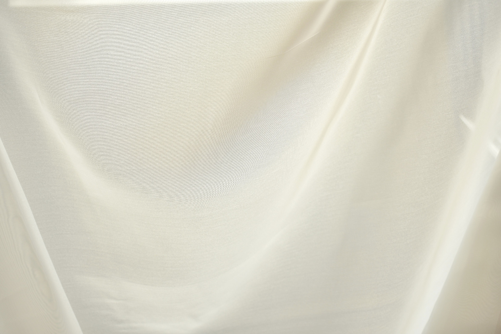 Ivory plain sheer - Blue Stag